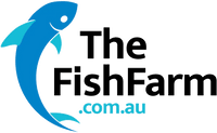 Angel Fish - The Fish Farm Australia