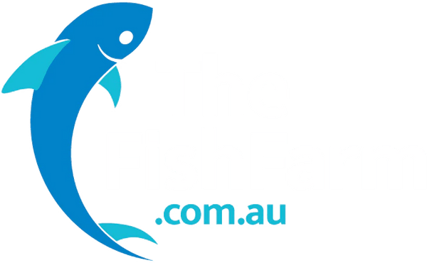 Ranchu Goldfish - Red - The Fish Farm Australia